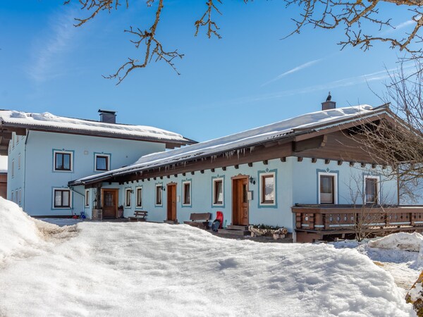 Spacious Apartment Near Ski Area In Mittersill - Mittersill