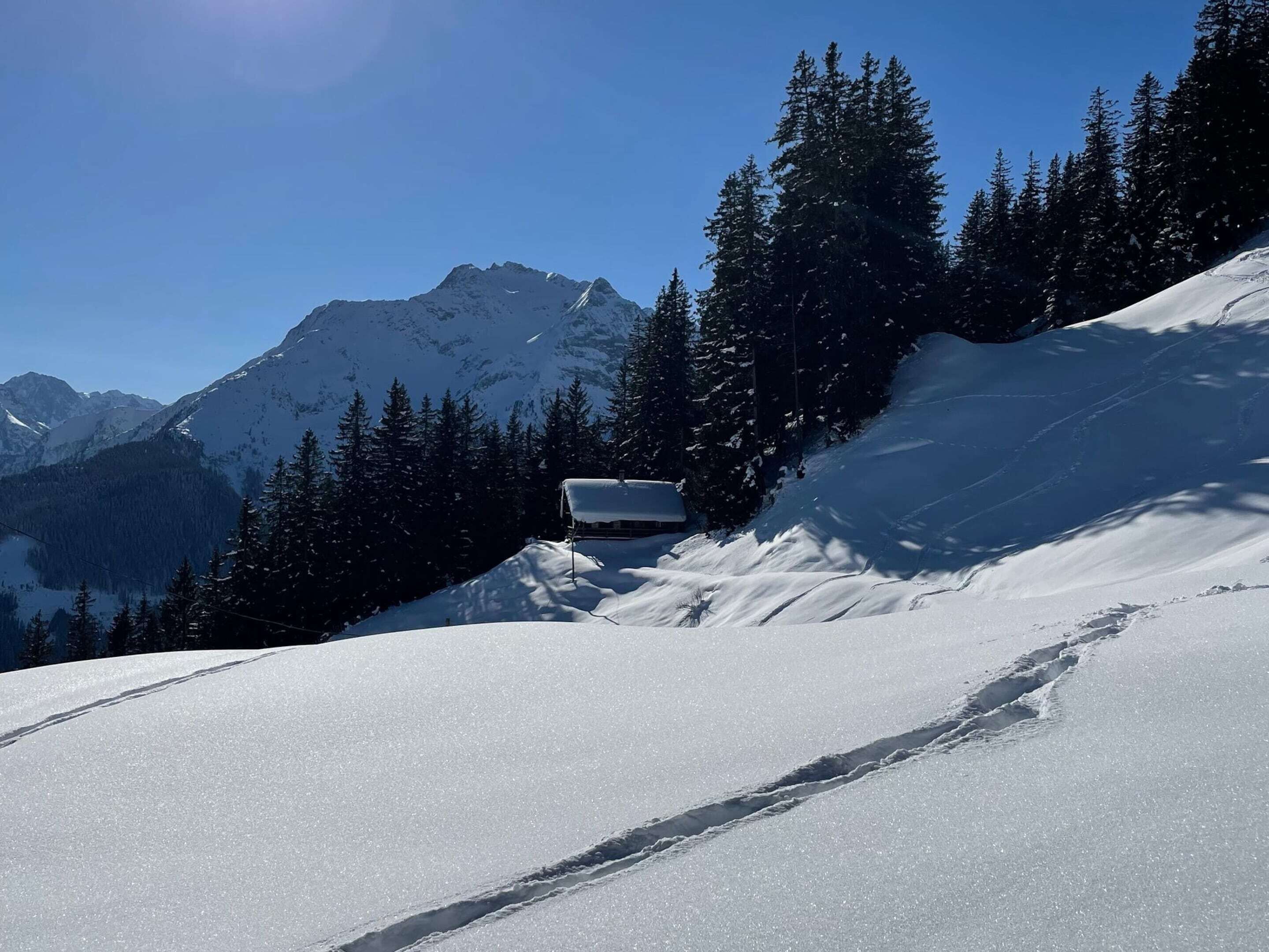 Encosta de montanha coberta de neve, com um teleférico e árvores.