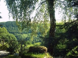Casa Clássica, 3 quartos | Jardim