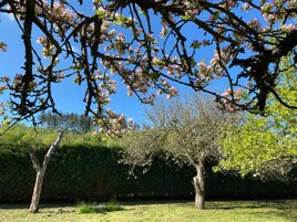 Casa Clássica, 6 quartos | Vista do alojamento