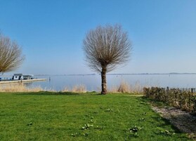 Uma área gramada com uma árvore e um píer que se estende por um lago calmo.