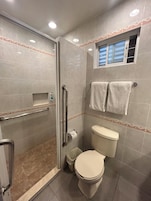 Chuveiro, secador de cabelo, toalhas de banho, sabonete