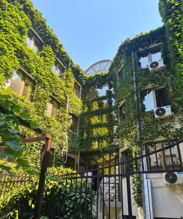 Fera - Belgrad