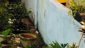 Um espaço ao ar livre estreito, com plantas em vasos e uma parede de concreto.
