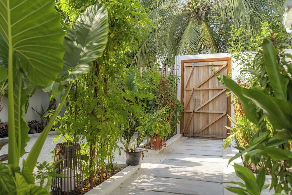 Oasis Dhigurah - Maldives