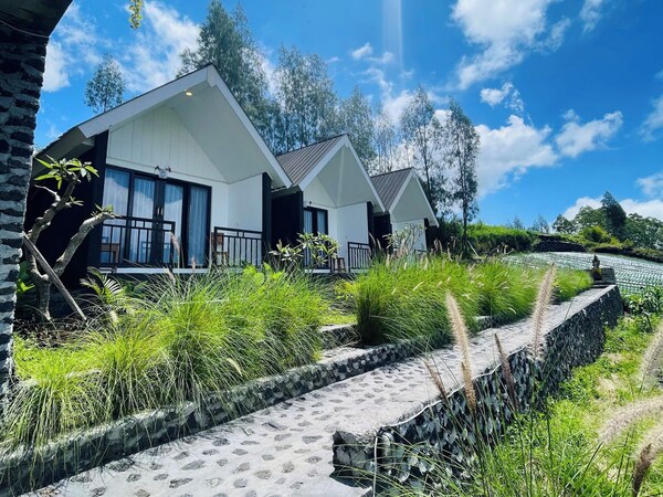 The Iris Kintamani - Kintamani