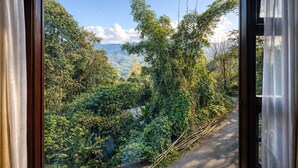 Vista pela janela com cortinas, revelando uma paisagem verde exuberante com árvores e um caminho.