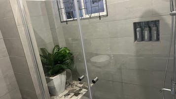 Chuveiro, secador de cabelo, toalhas de banho, papel higiênico