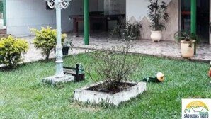 Um edifício com telhado em telhas, alpendre coberto e um jardim com plantas em vasos.
