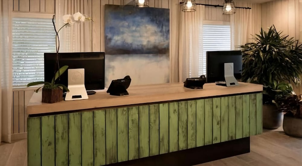 Steps Away From The Beach | Spacious 1br Suite W/ Kitchenette - Islamorada, FL