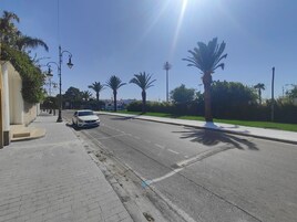 Rua com palmeiras, um carro branco e calçada.