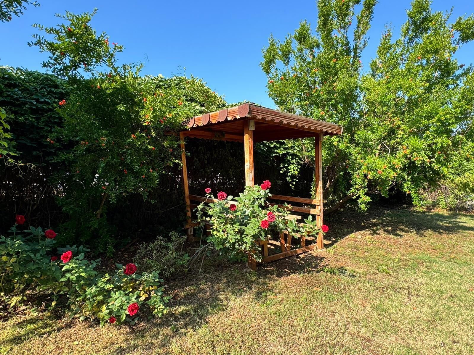 Área da propriedade