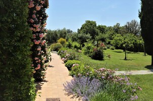 Uma trilha no jardim, bordeada por roseiras e lavanda, conduz a uma área gramada com árvores.