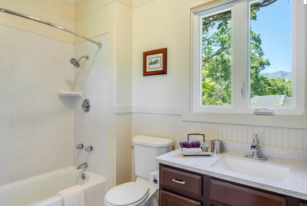 French Provencal Chateau In The Heart Of Napa - Calistoga, CA