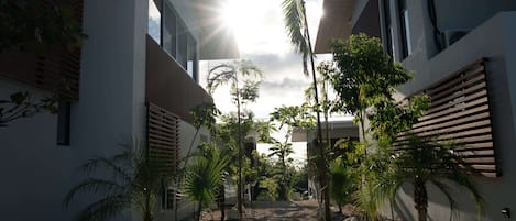 Um edifício moderno com um pátio central rodeado por palmeiras e pedras grandes.