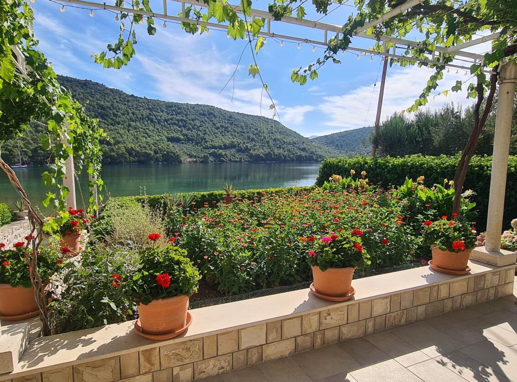 Um jardim com plantas em vasos e vista para um lago e montanhas.