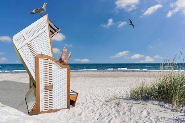 Apartamento | Vista do alojamento