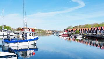 Uma marina com barcos atracados, um farol ao fundo e uma fileira de edifícios com telhados vermelhos.