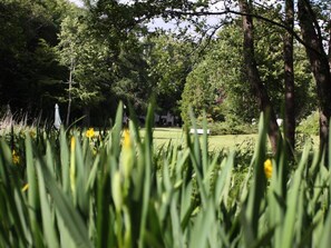 Casa | Área da propriedade
