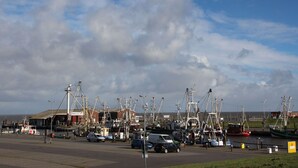 Uma marina com vários barcos atracados, um edifício com uma placa e um céu claro.