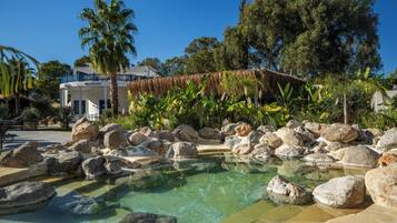 Uma piscina cristalina rodeada por pedras e plantas tropicais, com um edifício ao fundo.
