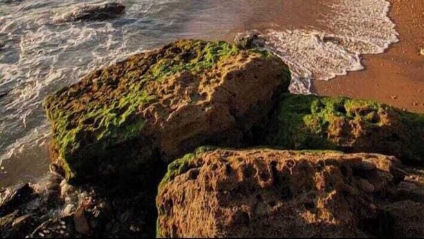 Paisagem costeira com falésias rochosas e uma praia de areia.