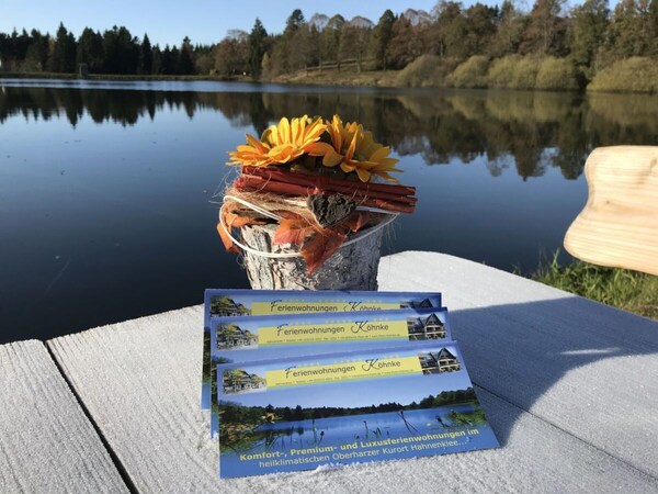 Kohnke 5 Comfortable Holiday Residence - Hahnenklee-Bockswiese