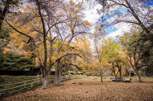 Briar Patch Inn - Sedona, AZ