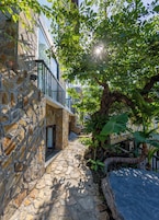 Um caminho de pedra leva a um edifício com varanda, cercado por vegetação exuberante e uma grande árvore.