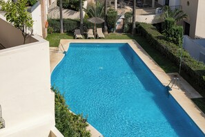 Uma piscina retangular com água azul cristalina, rodeada por um gramado bem cuidado e palmeiras.