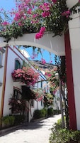 Apartamento, 1 quarto, fumadores, varanda | Terrenos do alojamento