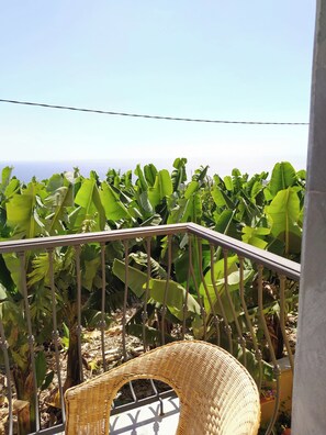 Apartamento, 3 quartos, acessível, varanda | Terrenos do alojamento