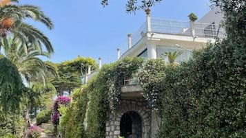 Terraço/pátio interior