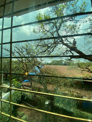 Vista da propriedade