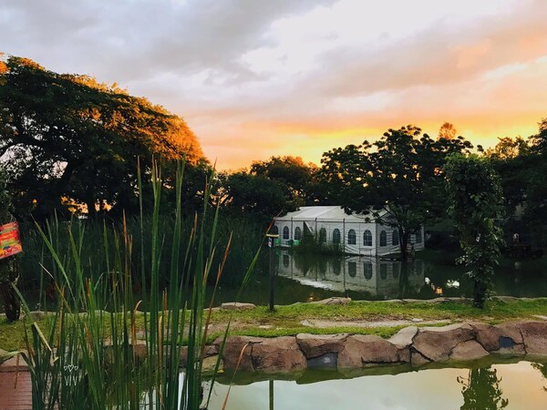 T3c Gardens - Lusaka