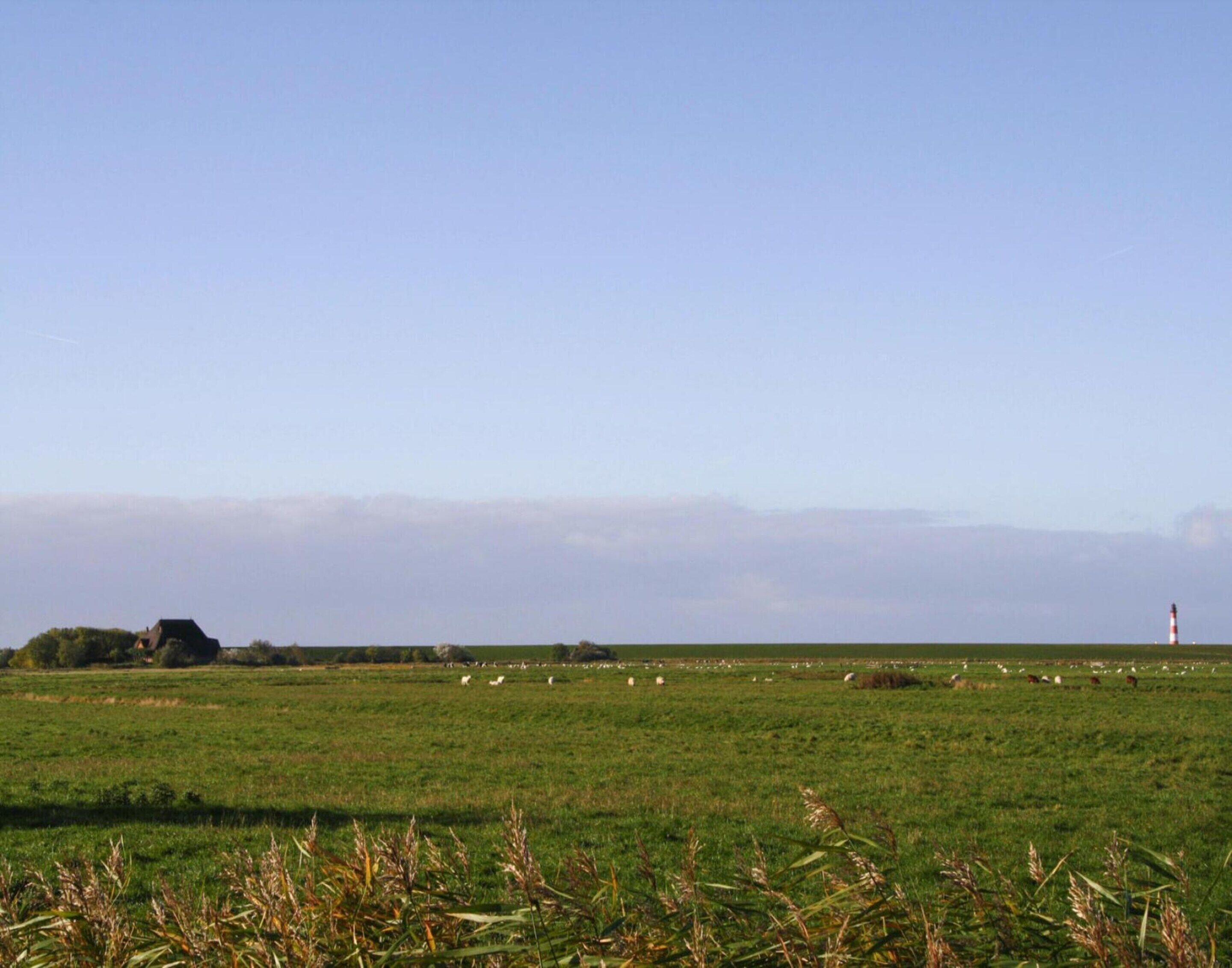 Um campo amplo com um farol ao longe e alguns edifícios dispersos.