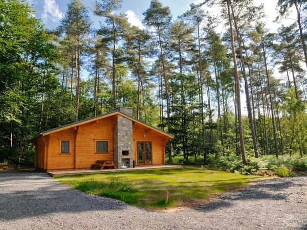 Modern, Wooden Chalet With Wood Burning Stove, In The Forest - Viroinval