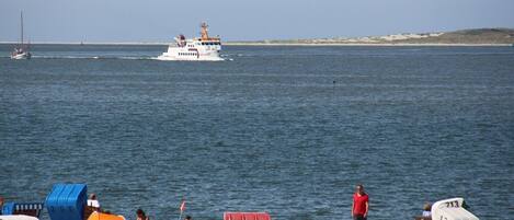 Apartamento clássico, 2 quartos | Vista da propriedade