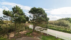 Uma área circular pavimentada com cerca de piquete branca, rodeada por árvores e vegetação.