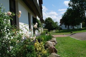Casa Clássica, vários quartos | Exterior