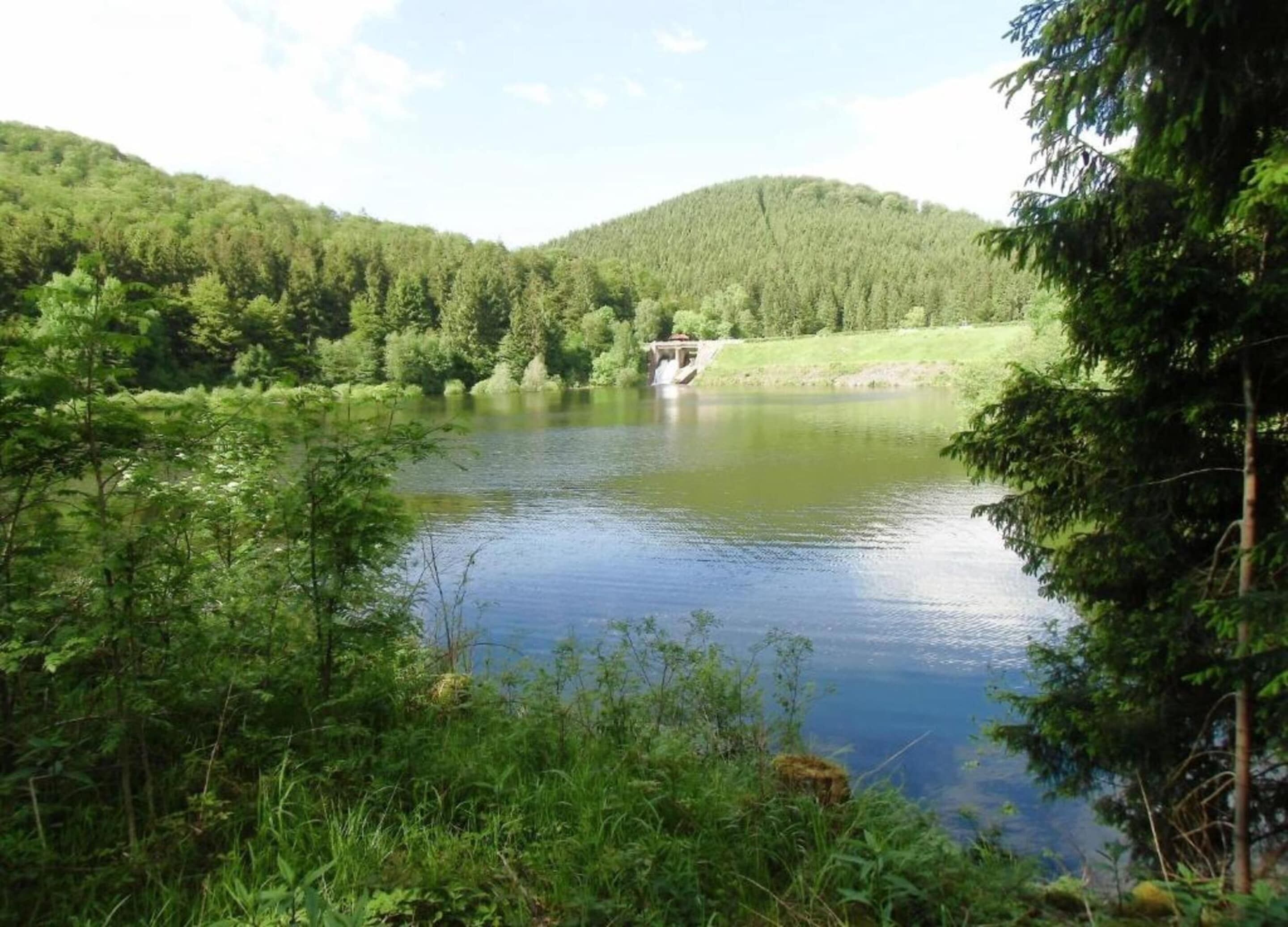 Um lago tranquilo rodeado por vegetação exuberante e colinas.