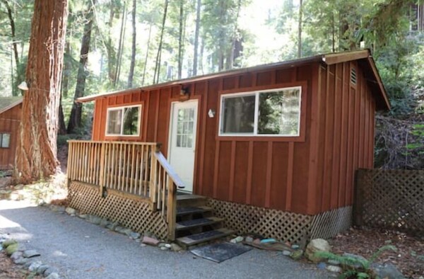 "Madrone" Cabin In The Redwoods, River Access, Wifi \N\n - Richardson Grove State Park, Garberville