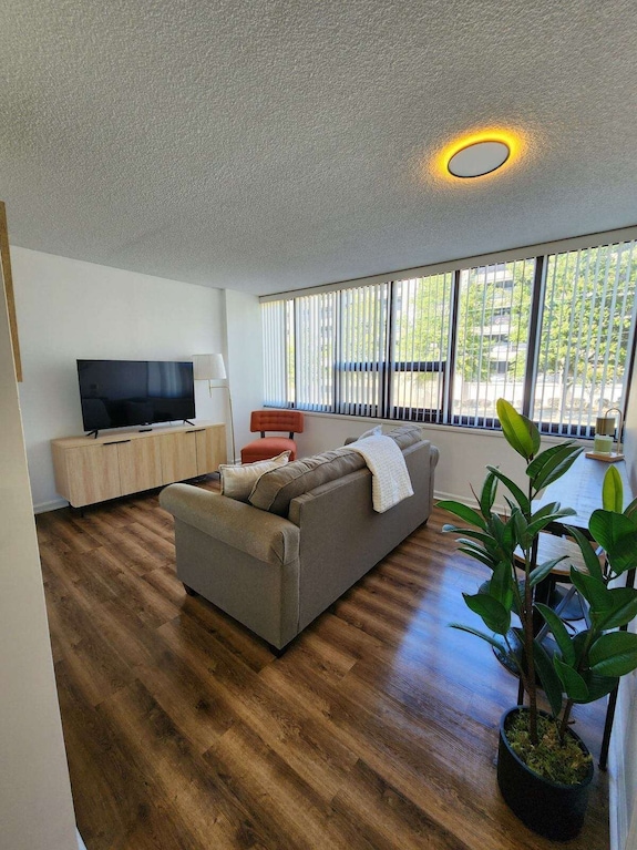 University Of Sc - Williams- Bryce Stadium - Downtown Cola - university of south carolina, Columbia