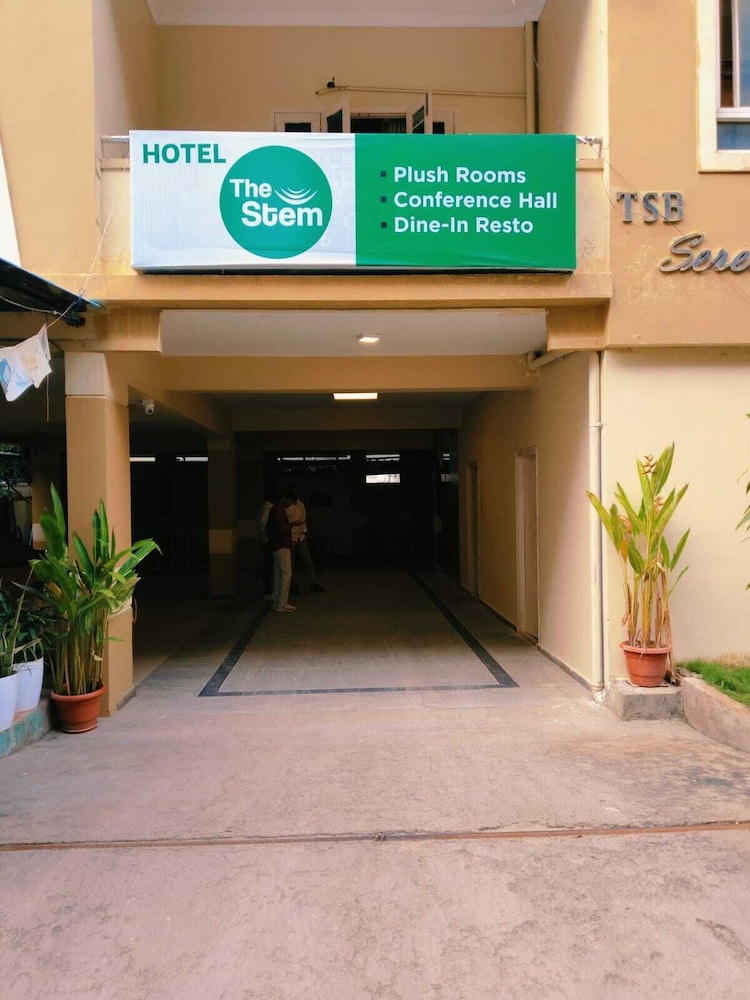 The Stem - Hyderabad