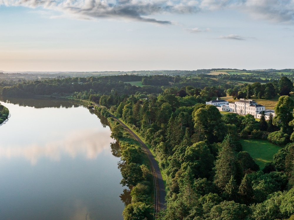 The Forest At Mount Congreve Gardens - Waterford