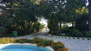 Um caminho leva a uma piscina cercada por flores laranjas e árvores.