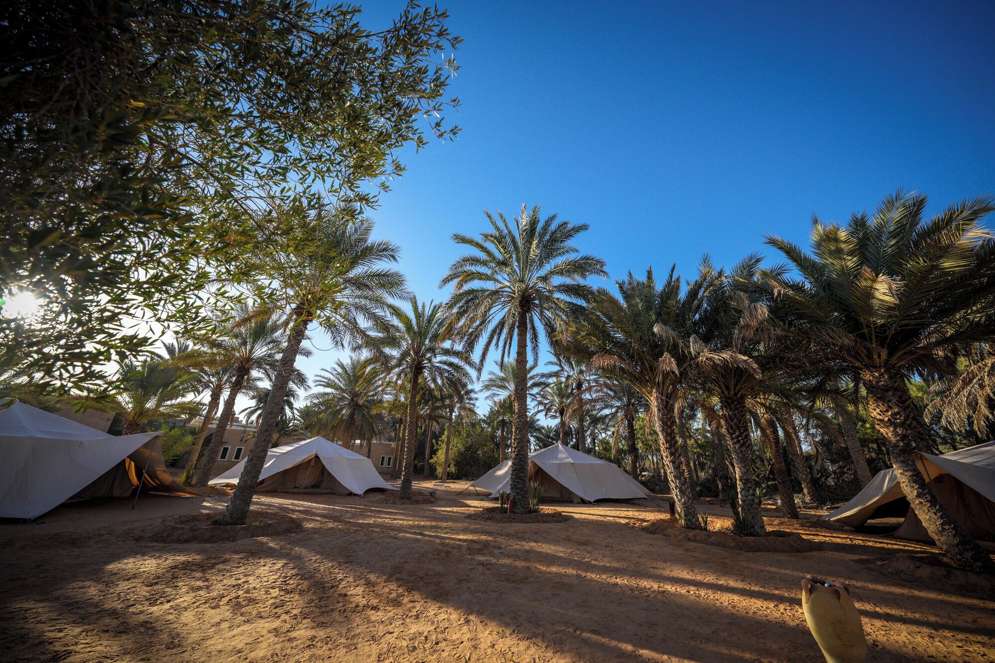 Um camping com várias tendas e palmeiras.