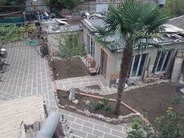 Um jardim no terraço com uma palmeira, um espaço de estar pequeno e um caminho pavimentado.