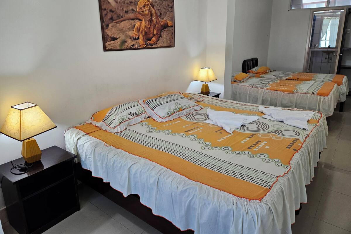 Quarto de hotel com duas camas, uma mesa de cabeceira, uma luminária e um quadro na parede.