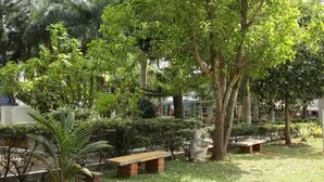 Um jardim com um banco, uma estátua e diversas árvores.